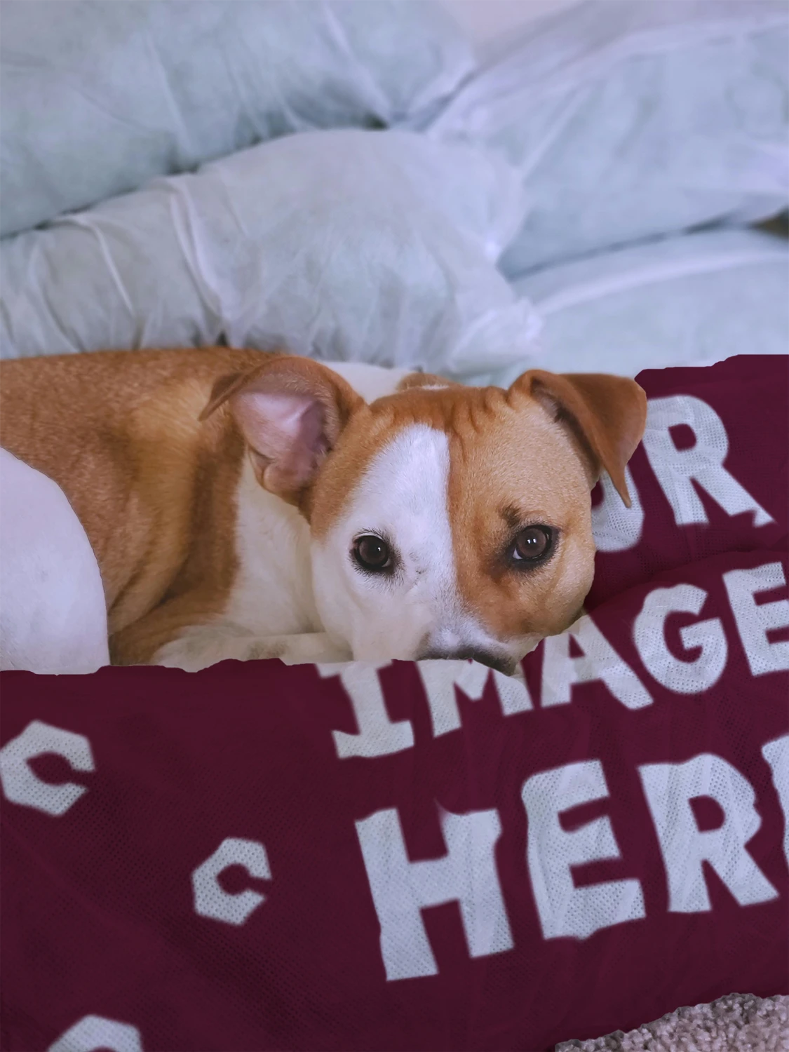 Maroon Blanket Mockup Template #4243 + PSD | Use It Now